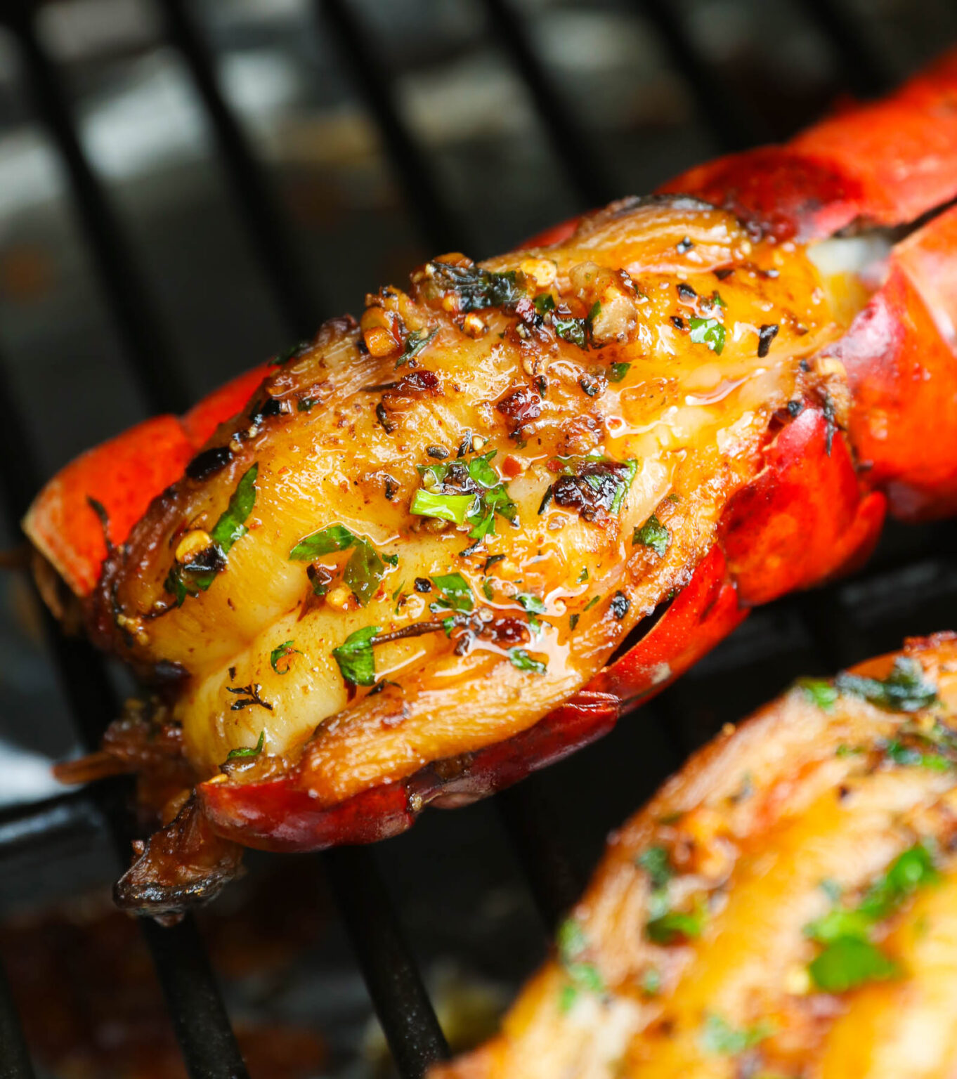 Home - feedthegrill.com